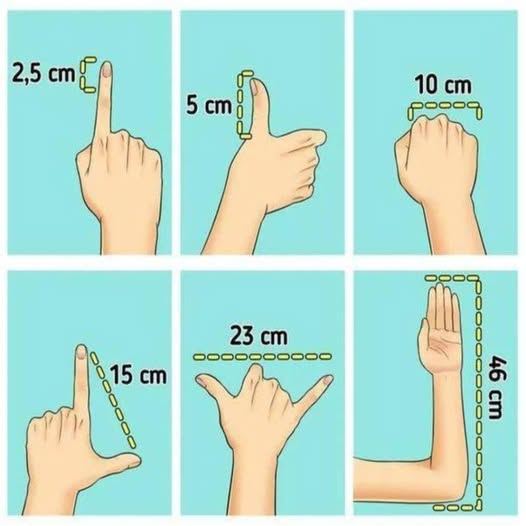 How to Measure Objects Without a Tape Measure: 4 Easy Methods - FAB ...